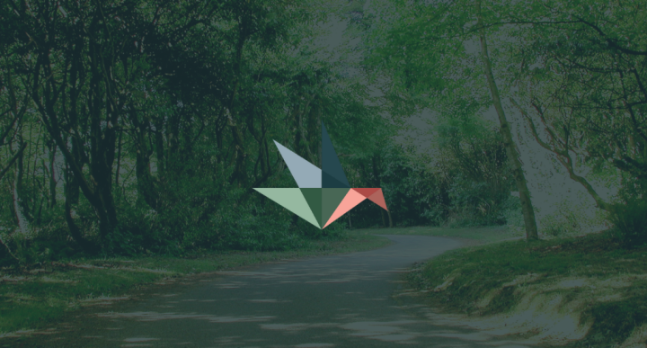 Staying Sober Through the Festive Season